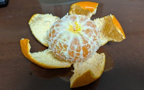 このところ、ミカンは外れが多い - 笑顔な毎日123