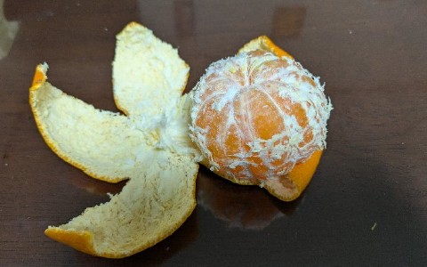 このところ、ミカンは外れが多い - 笑顔な毎日123