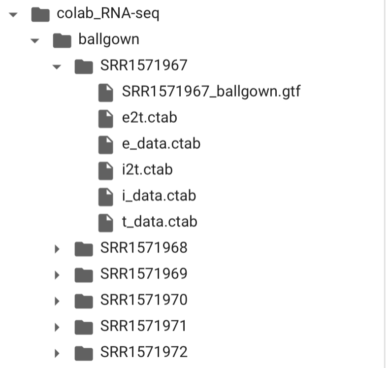 MacやLinuxを使わずにでRNA-seq解析を行う ②〜Google ColaboratoryでHISAT2やStringTieを実行〜 - LifeScience Hack