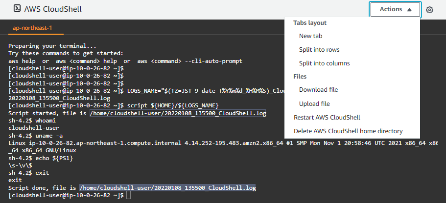 AWS CLI: AWS CloudShellで操作ログを取得してローカルPCへ保存する - ぶろとよ