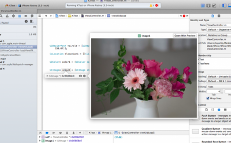 Xcode の Quick Look で艦娘をデバッグする - Toyship.org