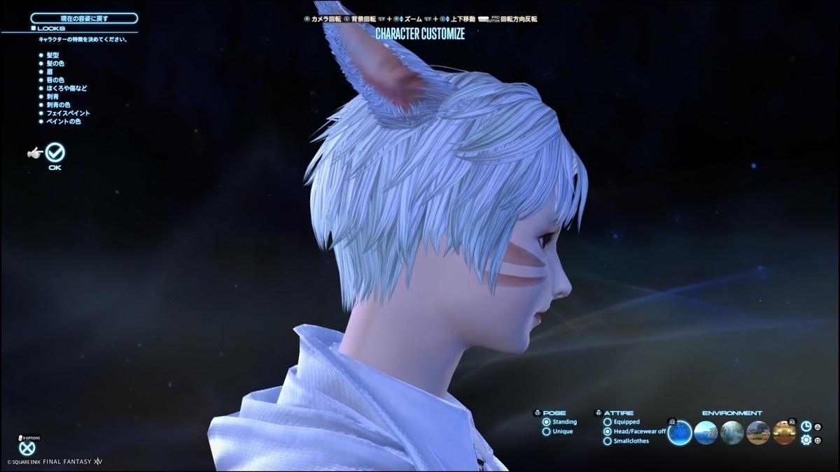 FF14 【黄金】宝の地図G17の場所：宝物庫セノーテ・ジャジャグラル - ファミ蔵通信トロフィー部