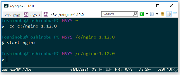 Windows 10 HomeにてJavaのWeb環境でNginxとTomcatの連携 - ts0818のブログ