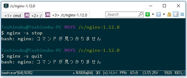 Windows 10 HomeにてJavaのWeb環境でNginxとTomcatの連携 - ts0818のブログ