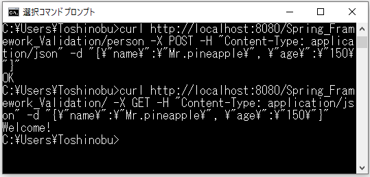 Spring FrameworkでValidationを実装する際に泥沼にハマる... - ts0818のブログ