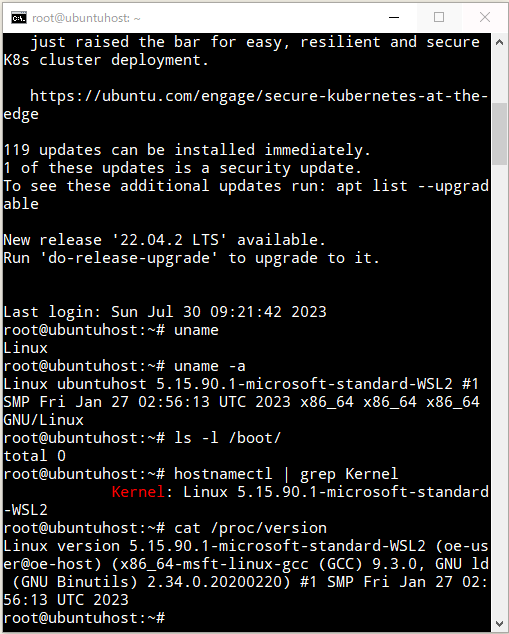 Vuls（VULnerability Scanner）でUbuntuの脆弱性の対応が必要なのか確認してみる - ts0818のブログ