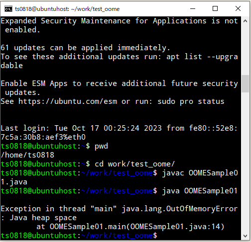 JavaのOutOfMemoryErrorはhs_err_pid.xxxxx.logファイルを出力しないのがほとんどな気がするんだが... - ts0818のブログ