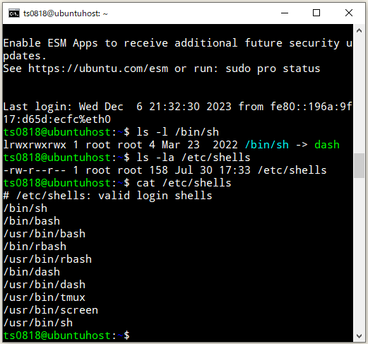 /bin/shで実行と/bin/bashで実行とで、実現できることが異なる罠 - ts0818のブログ