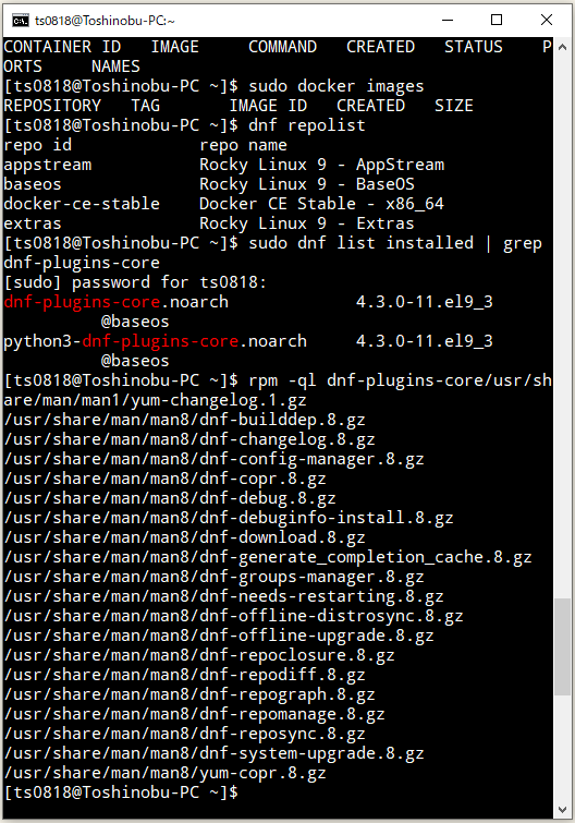WSL 2に導入したRocky LinuxにDockerをインストールする - ts0818のブログ