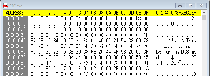 Newbie CTF 2019 Writeup - TSALVIA技術メモ