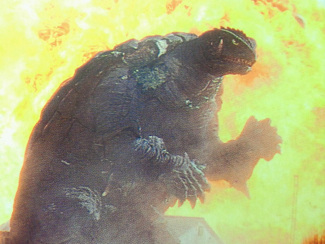 個別「20120313214700」の写真、画像 - tsuchikorobi's fotolife