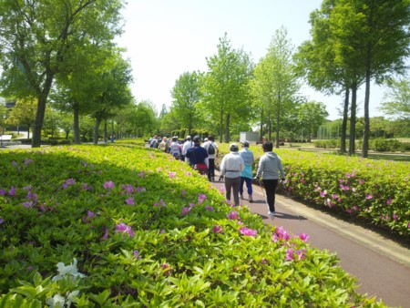 個別「20130508101729」の写真、画像 - tsuchiura's fotolife