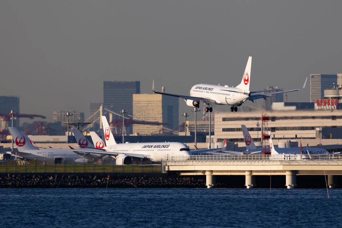 【飛行機撮影】 2022/10/20 緑色のANAとやっぱりJAL - Canonと鉄道と飛行機と