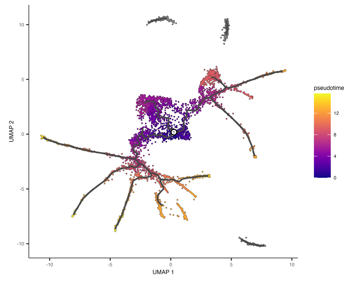 Seurat や Monocle のプロットの配色を調べる - アメリエフの技術ブログ