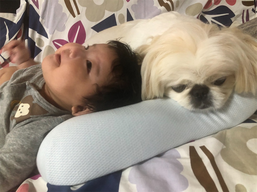 3ヶ月 - 亀とロック