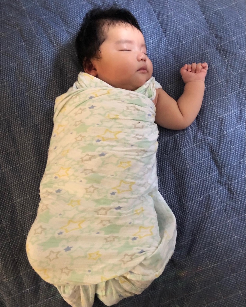 3ヶ月 - 亀とロック