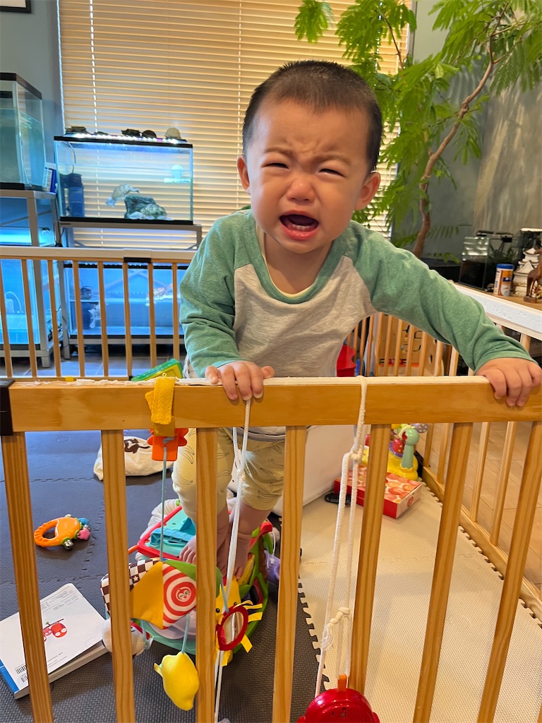 11ヶ月 - 亀とロック