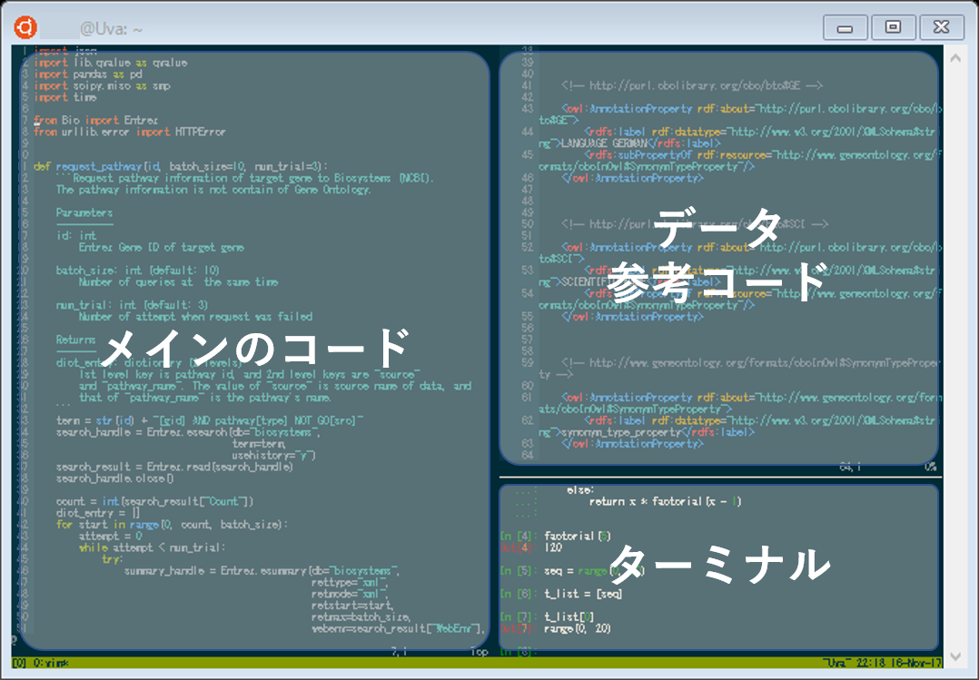 Setting WSL - tmuxを使った画面分割 - - owlog