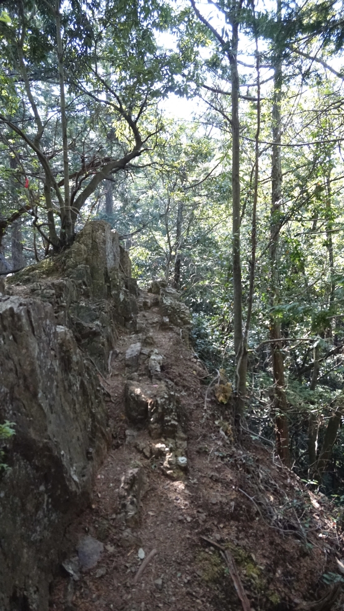 彩の国100mileコースを試走(South編) - Virtual UTMF 2021 - たりぃさんの山旅