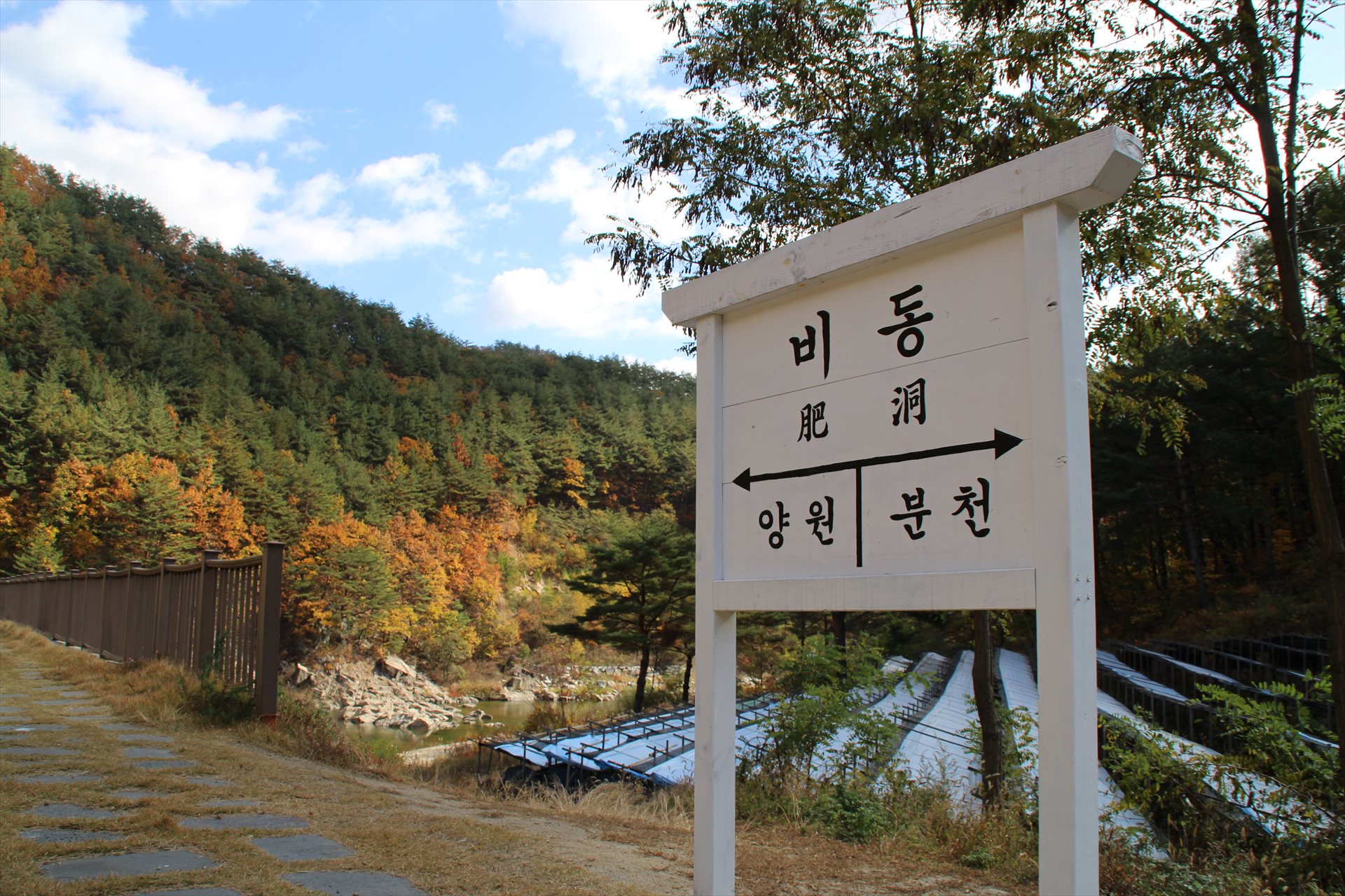 嶺東線のV-trainを撮影する 韓国江原巡検 13-01 - twinrail.log