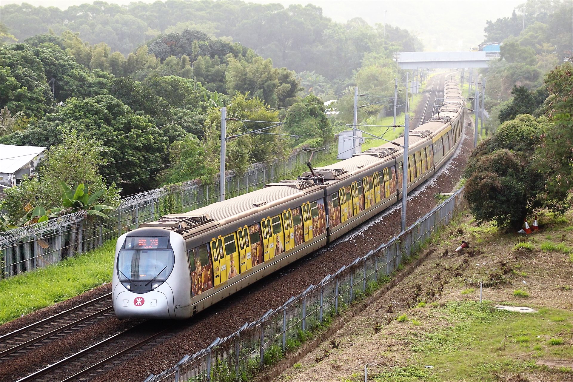 香港MTRと広九直通車を撮影する 香港中国巡検 14-03 - twinrail.log