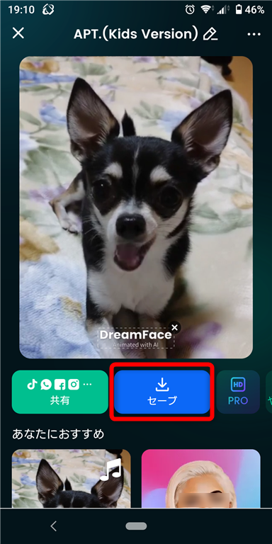 DreamFaceアプリで、犬や猫などのペットが歌う動画の作り方【APT. キッズバージョンなど】 - neoゆき