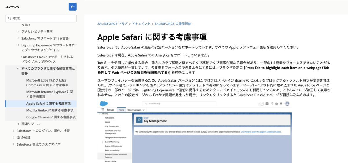 SFDC：SafariブラウザでSalesforceの設定ページアクセスを試してみました - tyoshikawa1106のブログ