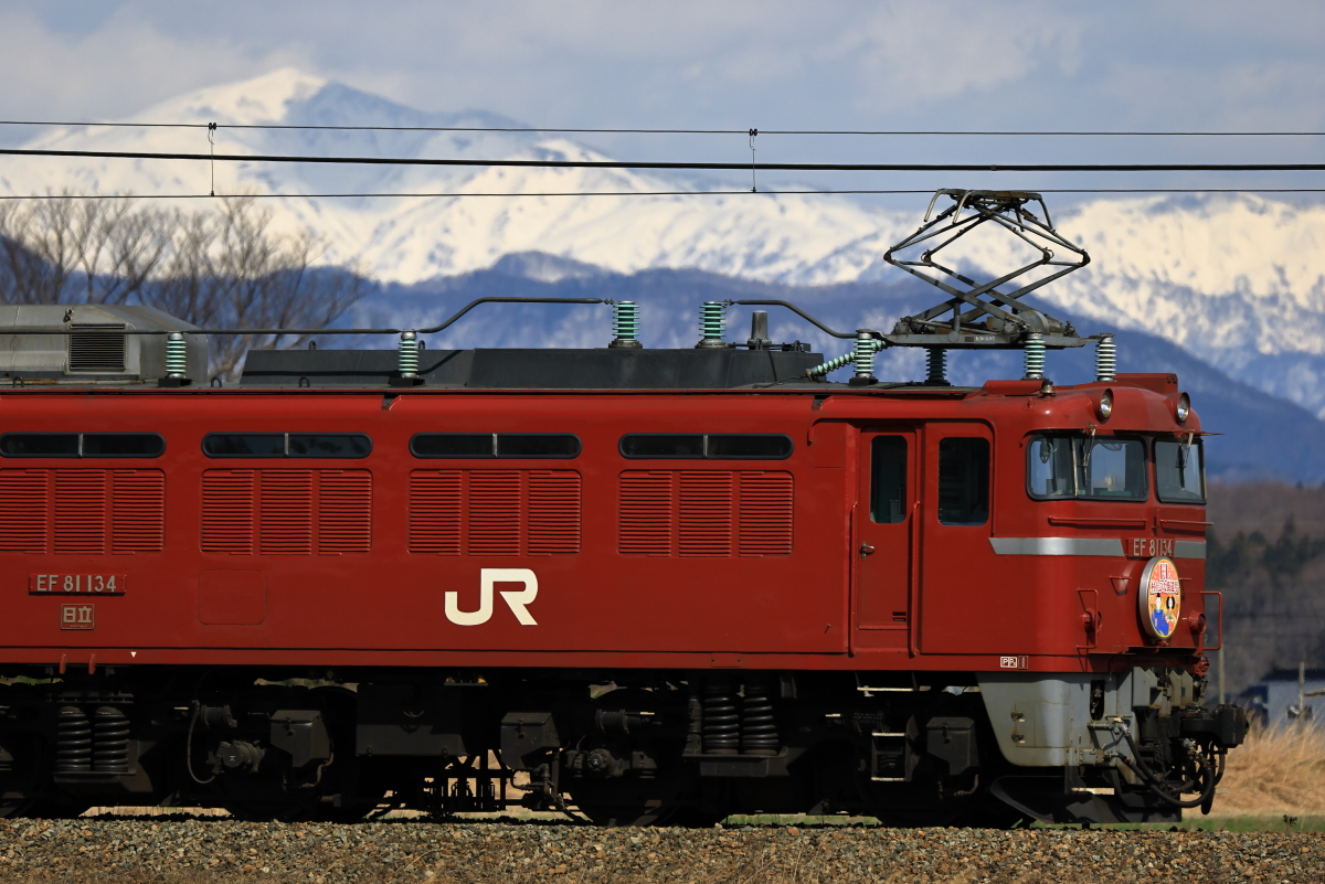 ヘッドマークを装着したEF81-134 - 続 うっかり鉄の鉄道風景写真撮影記