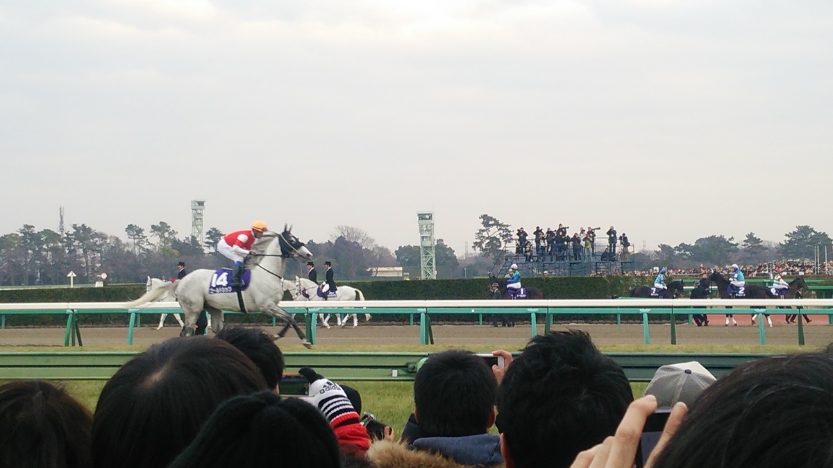 ラッキーの厳選穴馬★21/11/7（日）G1BCF&M(11番ドッグタグ)、G1BCマイル(4番レイジングブル)、G1BCターフ(6番アクリメ ...