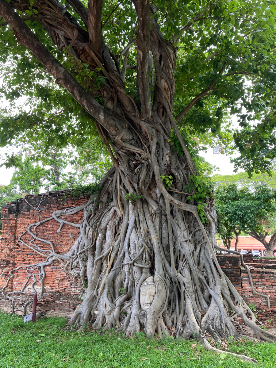 【タイ旅行記2日目】古都アユタヤを効率的に満喫するプランが発覚！(今回も反省点あり) - 滑雪旅行研究所 / Ski & Travel Lab.