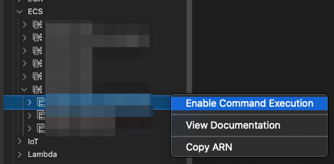 AWS Toolkit for VS Code が ECS Exec をサポートしたので試してみる - ユニファ開発者ブログ