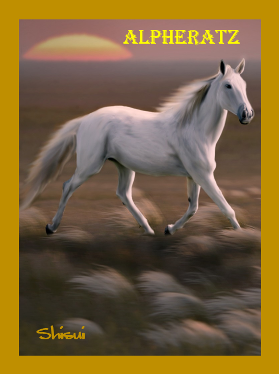 主人のLower Culmination期の恒星 - STELLAR