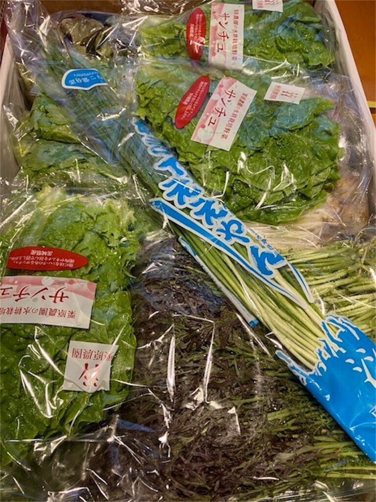 1月8日（木） - 家庭料理うさぎ情報