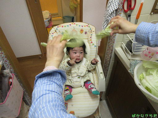 【暫定】うたちゃん日記0歳6ヶ月後期♪（2016/3/21～2016/3/31） - うたちゃん日記