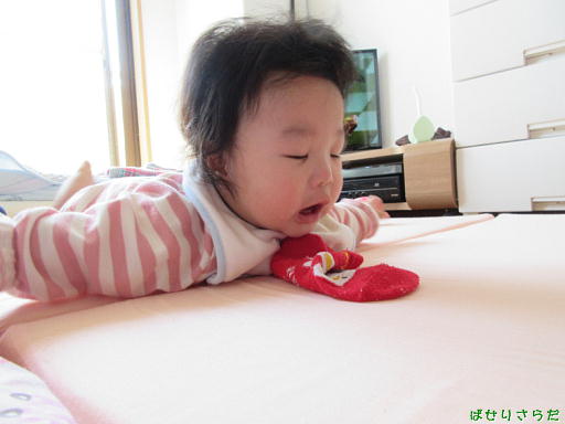 【暫定】うたちゃん日記0歳6ヶ月後期♪（2016/3/21～2016/3/31） - うたちゃん日記