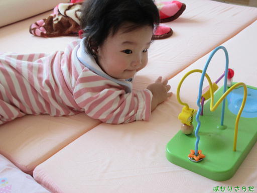 【暫定】うたちゃん日記0歳6ヶ月後期♪（2016/3/21～2016/3/31） - うたちゃん日記