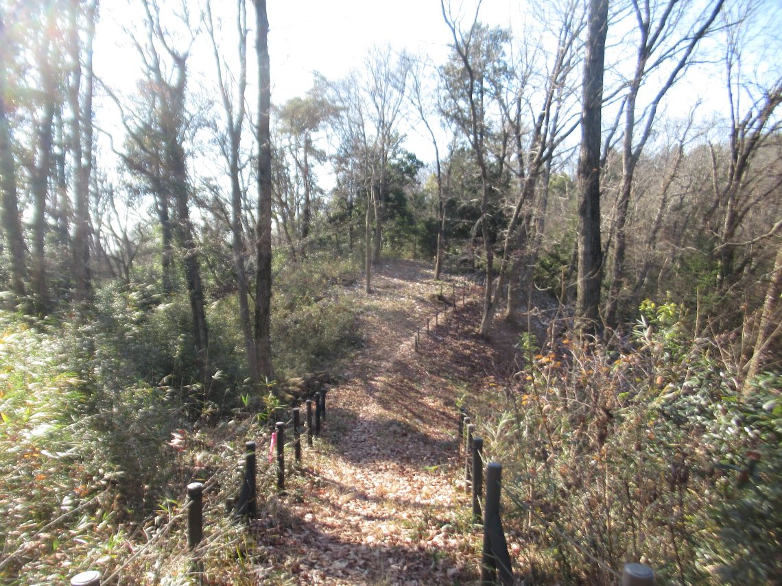 里山へ - うっちーさんの、ときどきブログ