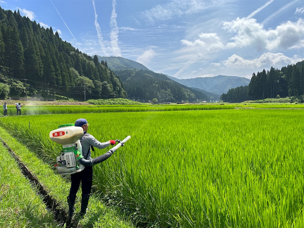 半農半Xピロール農法。 - マサのブログ