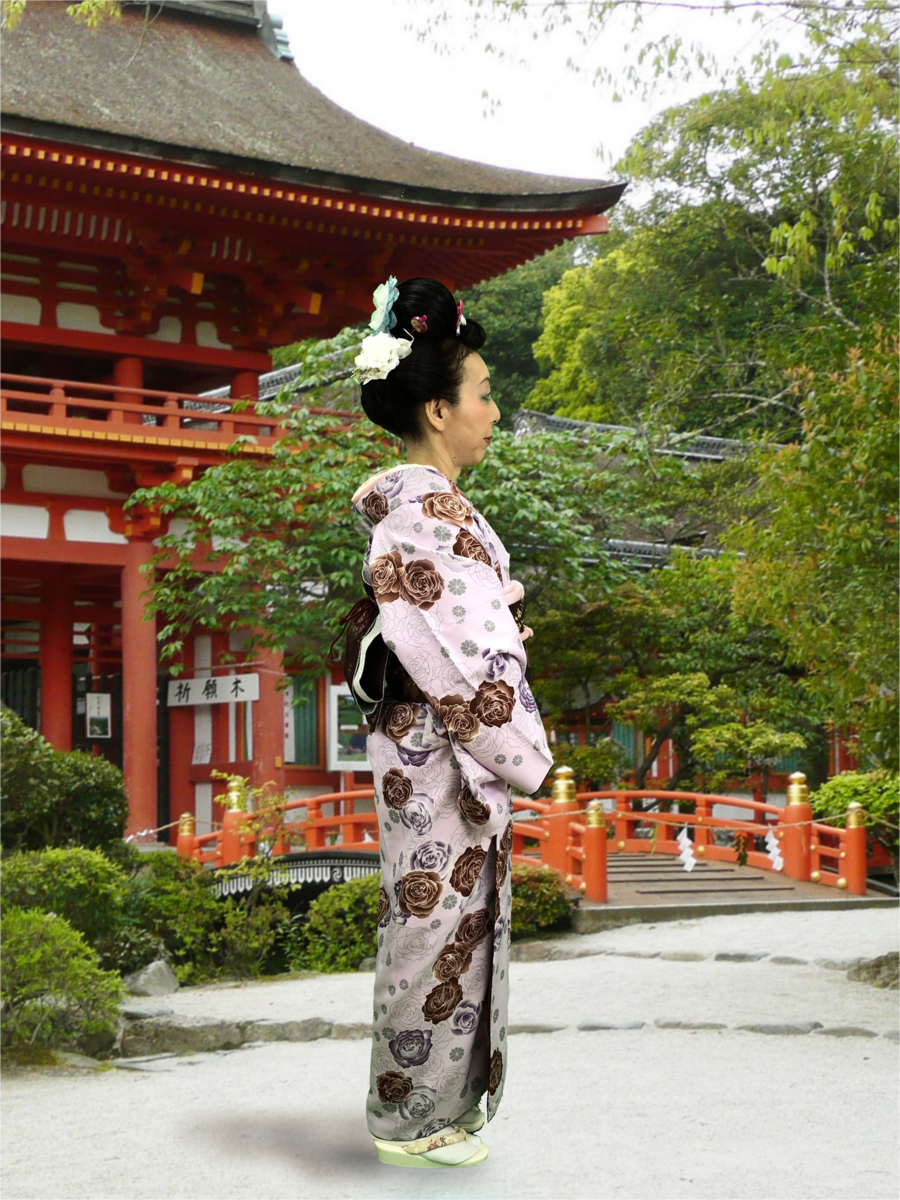 新日本髪（Shin Nihongami) - vegan-support-BiNatureenの日記