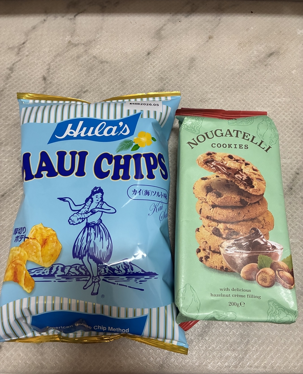 支出記録更新！クリスマス・お正月で予算オーバー💸💦 - すみっこブログ_(┐「ε:)_♡♡