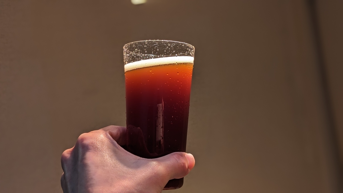 デュンケル（Ver202210）の出来 - homebrew diary