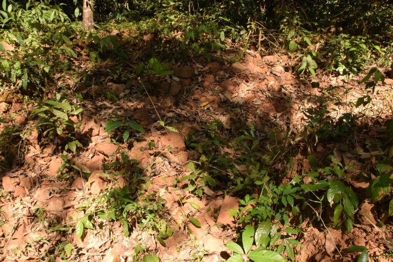 Preah Put（Kompong Cham Kau） nau Kalay Ta Vang,Veun Sai,Ratanakiri その5 ...