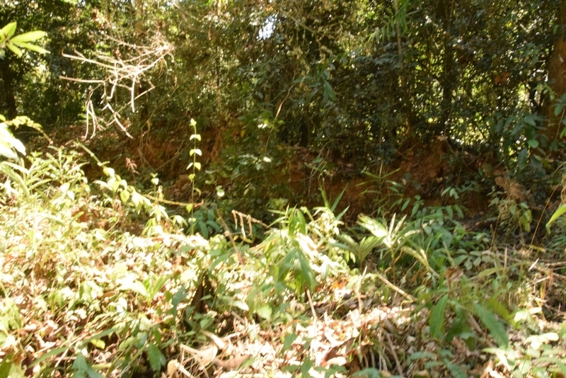 Preah Put（Kompong Cham Kau） nau Kalay Ta Vang,Veun Sai,Ratanakiri その5 ...