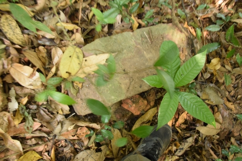 Preah Put（Kompong Cham Kau） nau Kalay Ta Vang,Veun Sai,Ratanakiri その5 ...