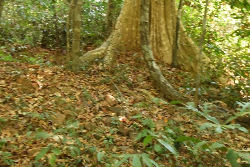 Preah Put（Kompong Cham Kau） nau Kalay Ta Vang,Veun Sai,Ratanakiri その5 ...