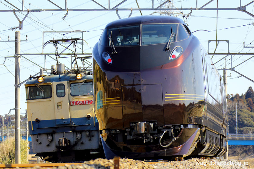 JR東日本E655系電車なごみ(和)。 - 鉄道に乗ることから旅は始まる