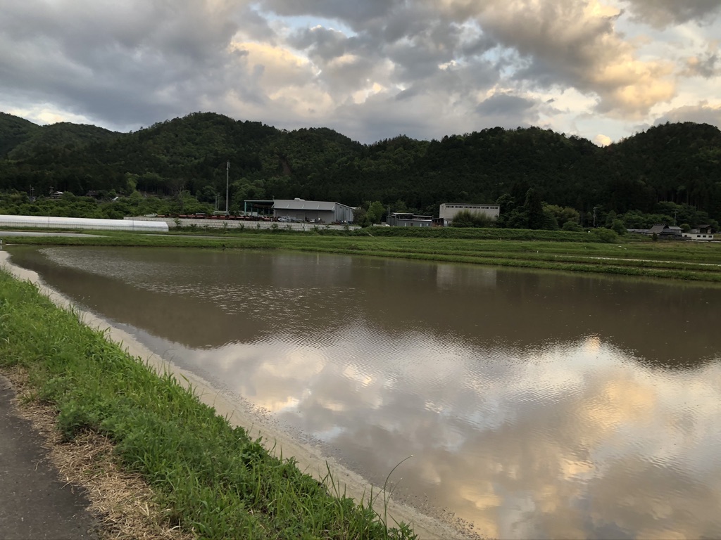 SSK (Sunny-Side of Kyoto)（+421/786） - Team 若ゼミダイアリー (Since 2015)