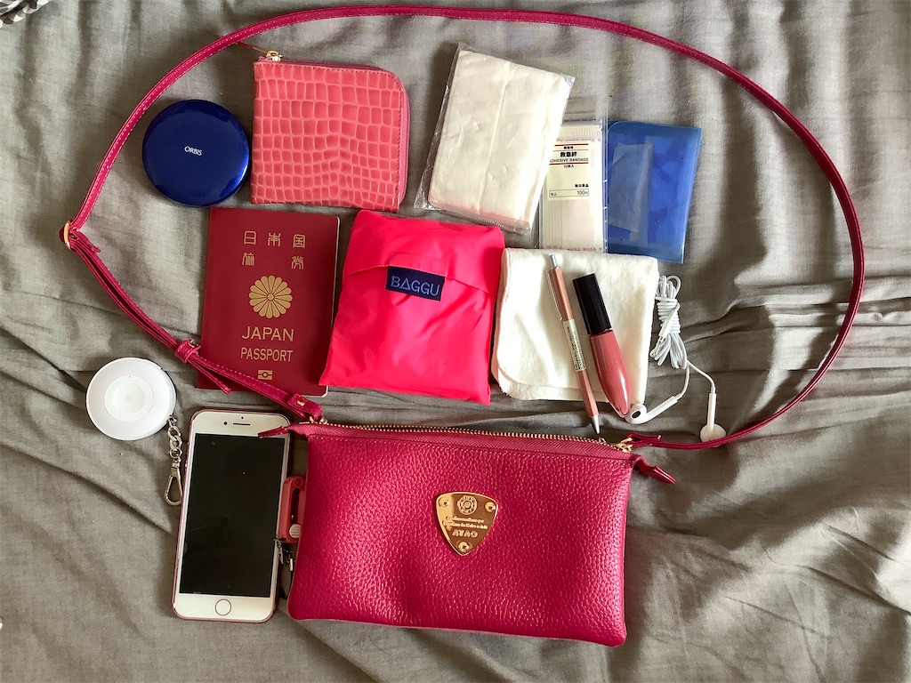 Which sub-bag is better for the airport? - wanichan's English blog