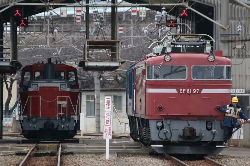 入換(EF81 97など) in田端運転所 - わらよのブログ