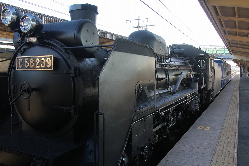 OM出場(C58 239) in吹上・深谷・神保原駅 - わらよのブログ